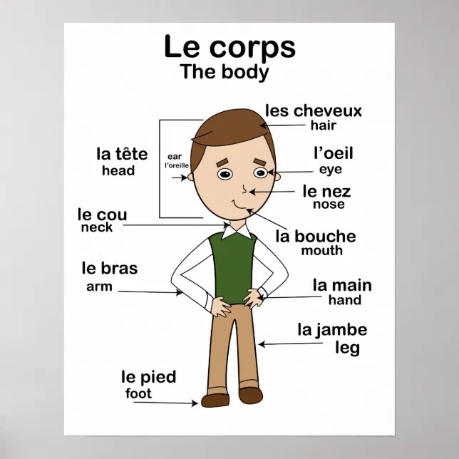 Le corps the body French English Educational Poster | Zazzle
