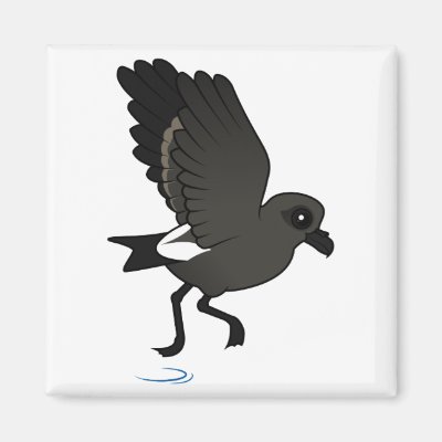 Meet the Cute Leach's Storm Petrel by Birdorable