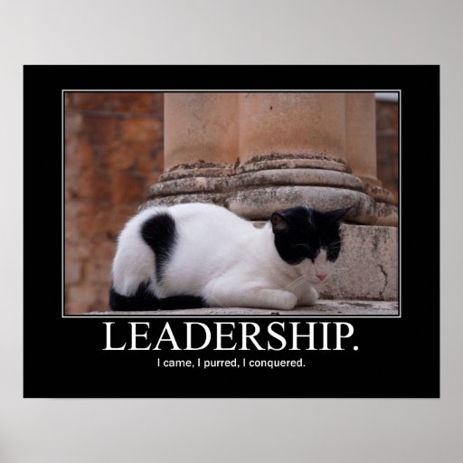 Leadership Cat Artwork Print | Zazzle
