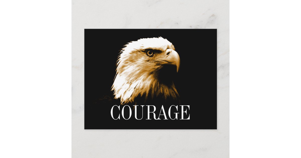 Leadership Courage Fearless Bald Eagle Postcards | Zazzle