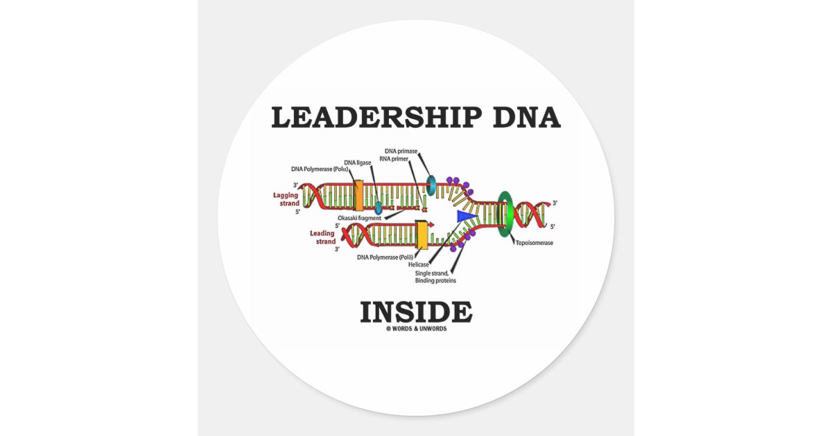 Leadership DNA Inside (DNA Replication) Classic Round Sticker | Zazzle