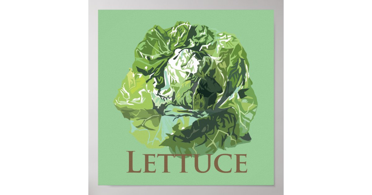 Leafy Lettuce Poster | Zazzle