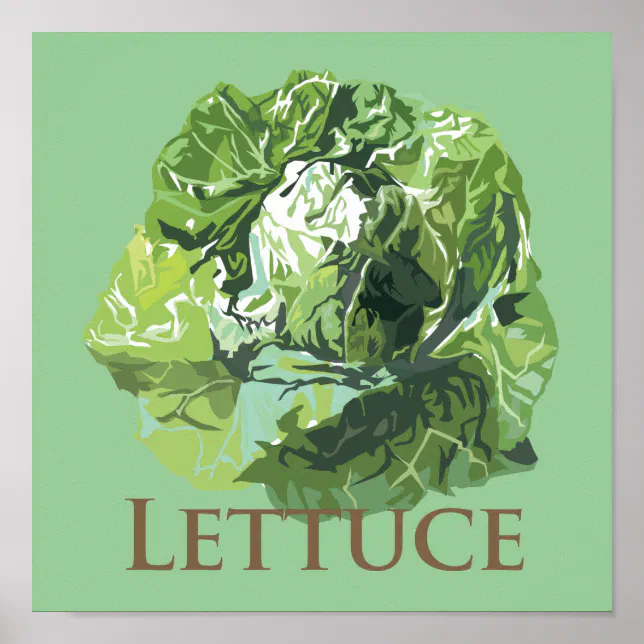 Leafy Lettuce Poster | Zazzle