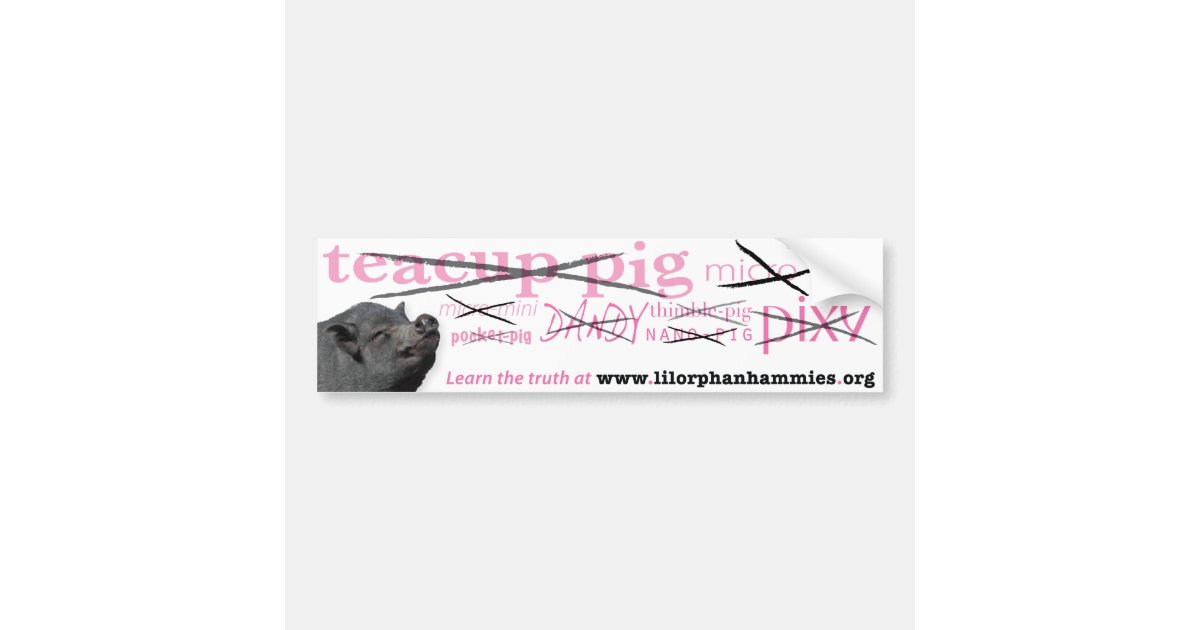 Learn the Truth! Bumper Sticker | Zazzle