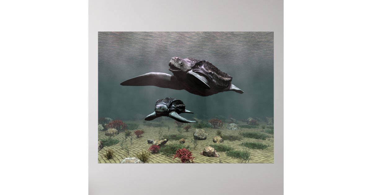 Leatherback turtle poster | Zazzle