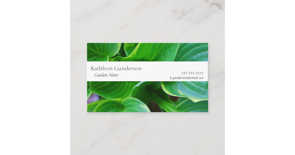 Leaves of hosta plants business card | Zazzle