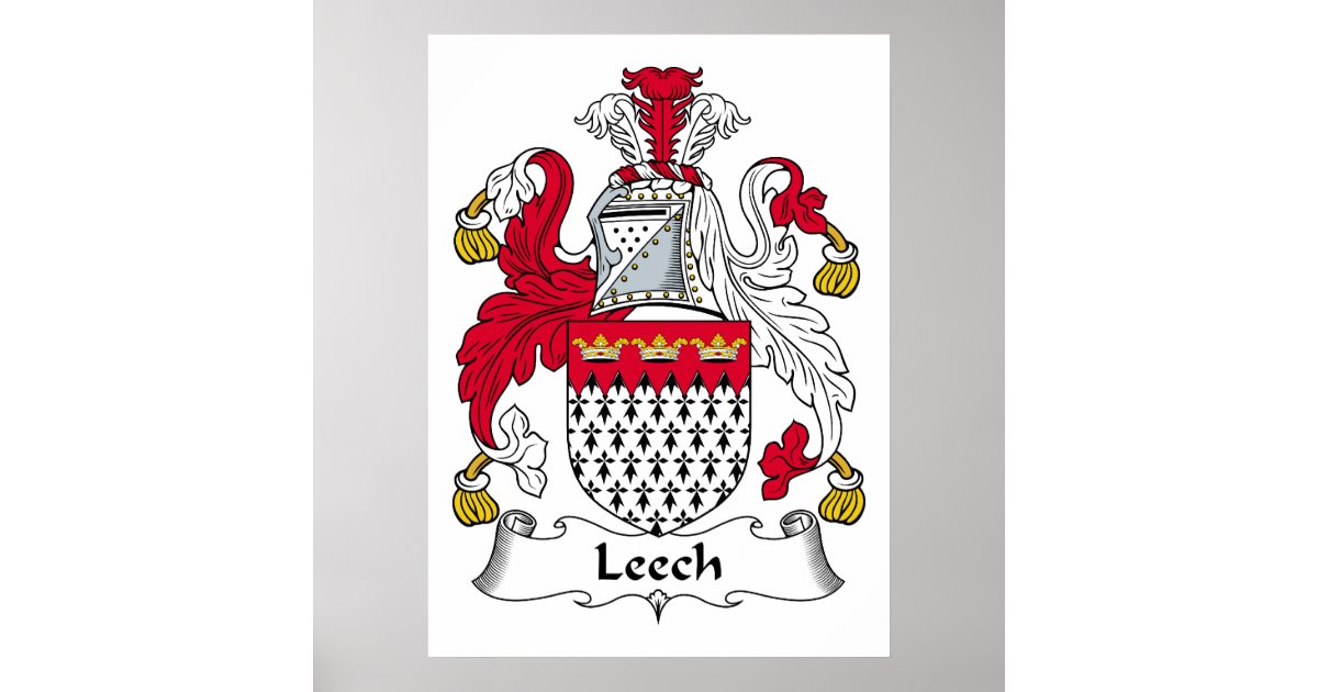 Leech Family Crest Poster | Zazzle