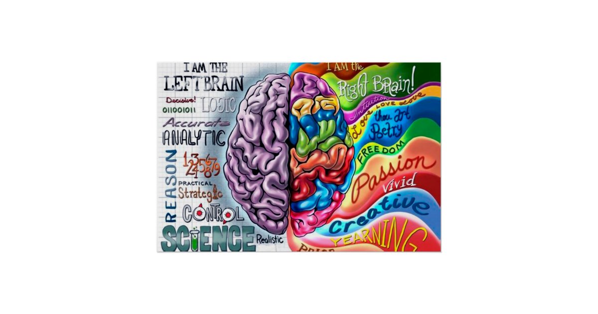 Left and right side of the brain poster | Zazzle