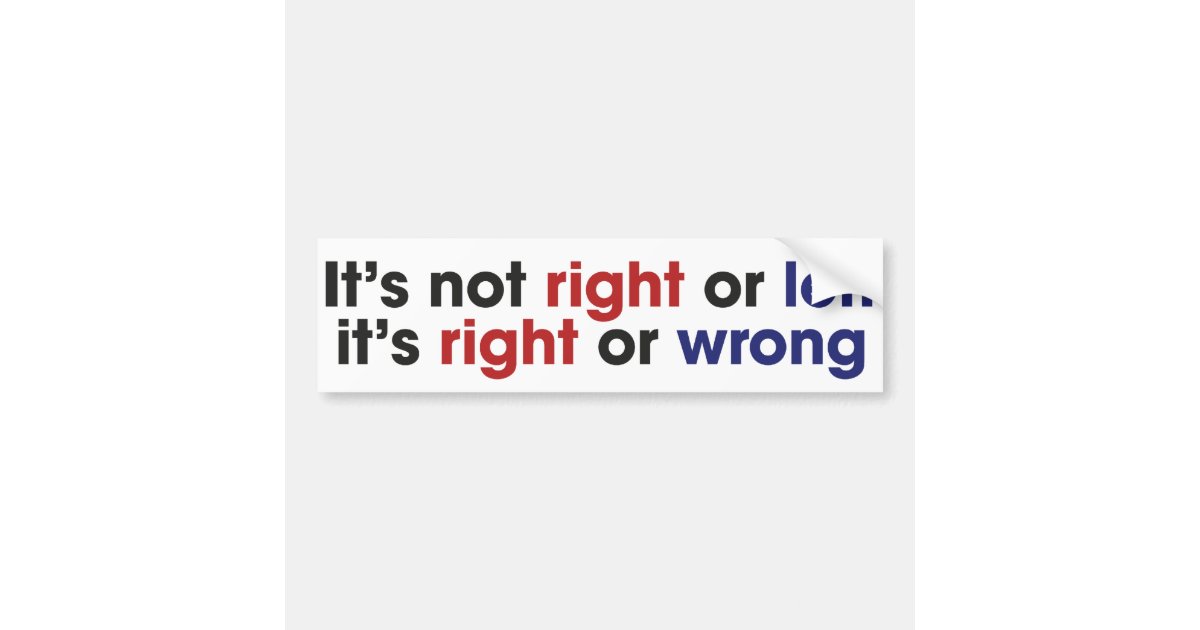 Left and Right Wing Bumper Sticker | Zazzle