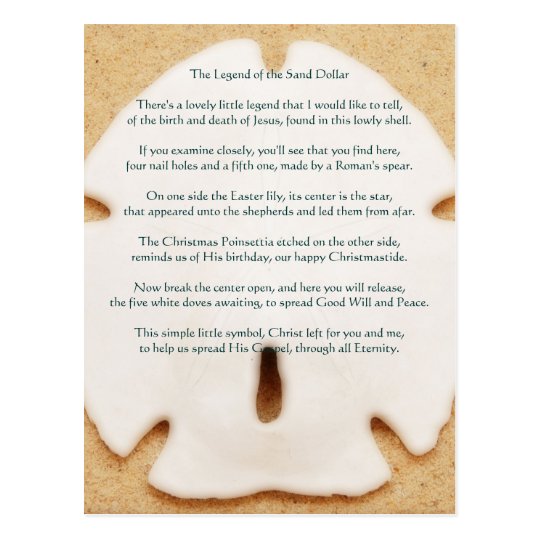 Legend of the Sand Dollar Postcard | Zazzle.com
