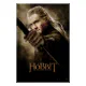 LEGOLAS GREENLEAF™ POSTER | Zazzle