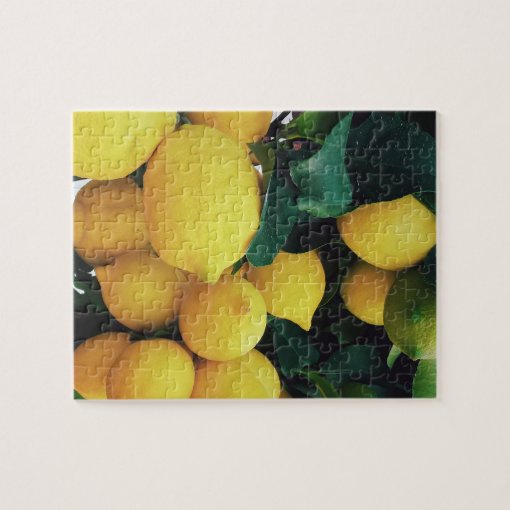 Lemon fruit tree jigsaw puzzle | Zazzle