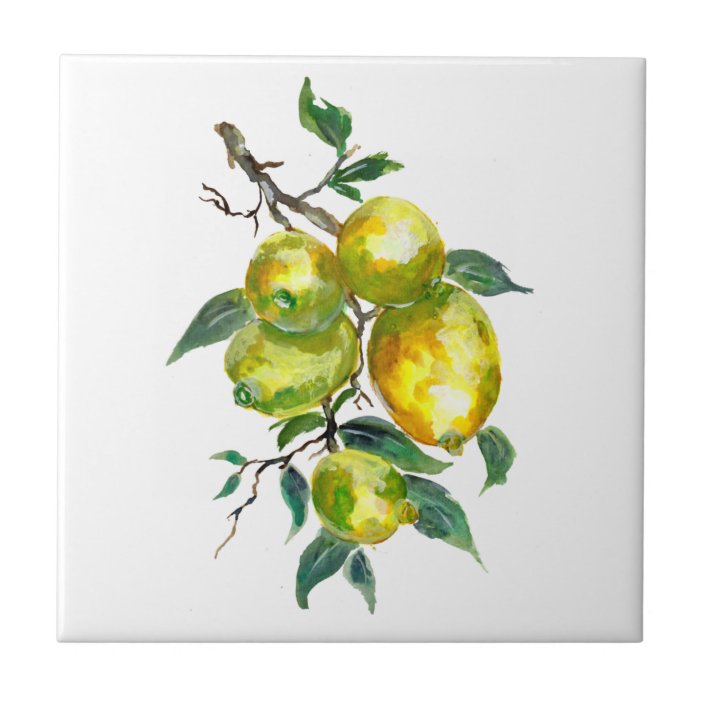 Lemon Fruits Tree Ceramic Tile | Zazzle.com