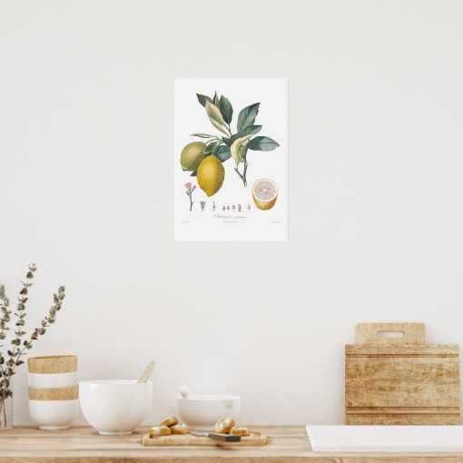Lemon Poster | Zazzle