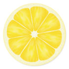 Lemon Slice Stickers | Zazzle