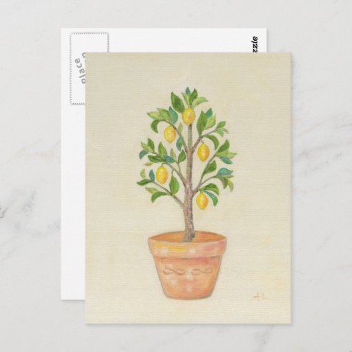 Lemon Tree postcard | Zazzle