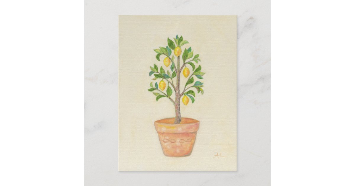 Lemon Tree postcard | Zazzle