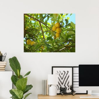 LEMON TREE POSTER | Zazzle