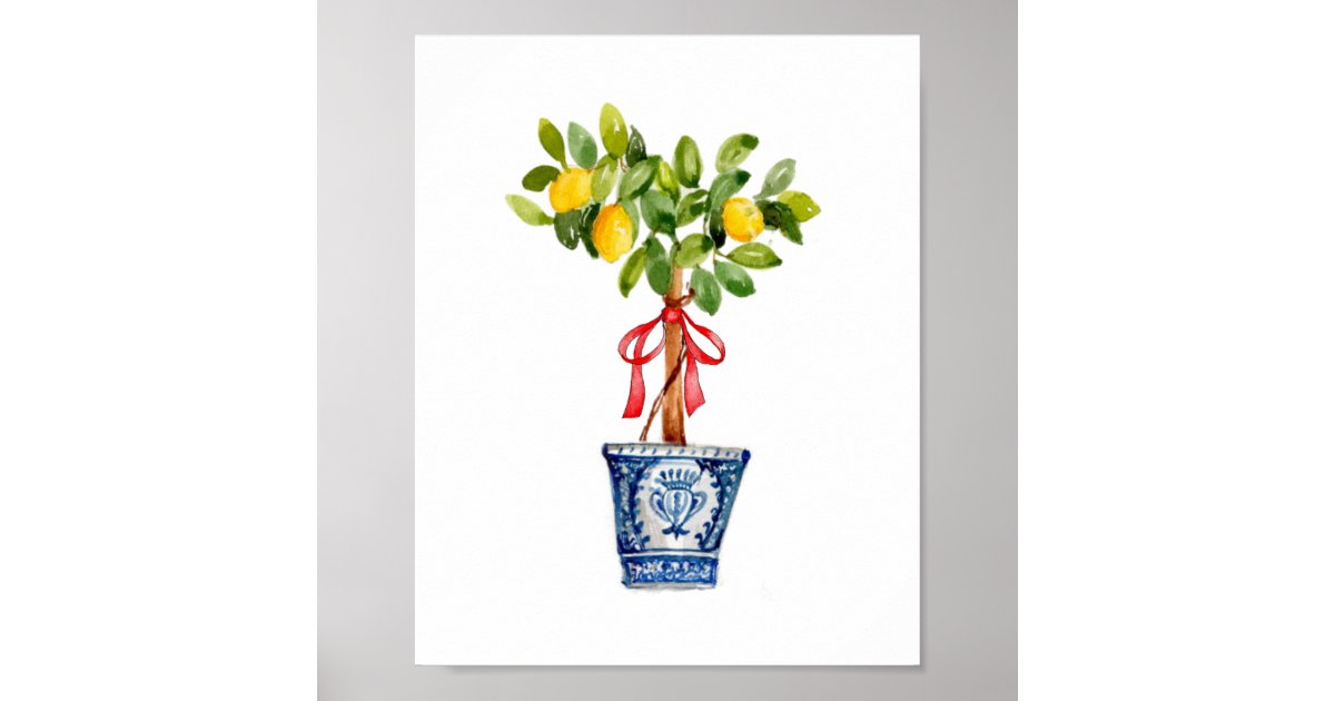 Lemon tree topiary in blue vase poster | Zazzle