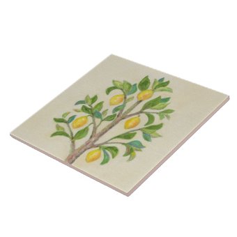 Lemon Tree wall tile | Zazzle
