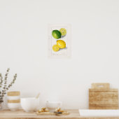 Lemons Citrus Limon 1908 by Ellen Isham Schutt Poster | Zazzle