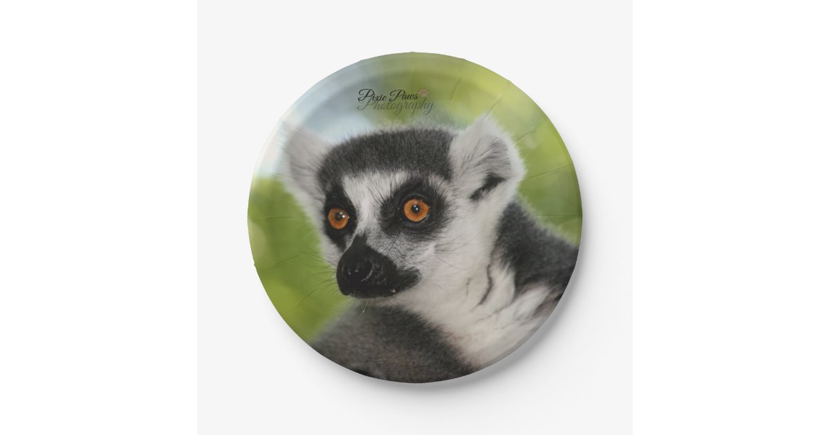 Lemur Paper Plates! Paper Plates | Zazzle