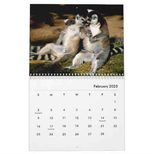 Lemurs Wall Calendar | Zazzle