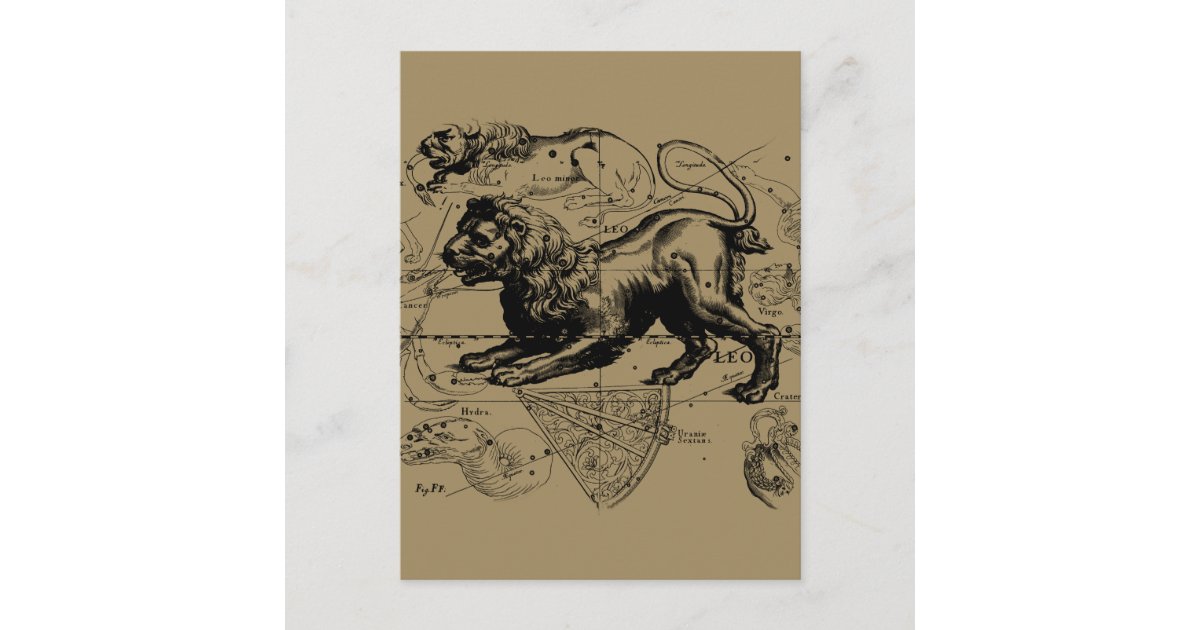 Leo Constellation Map Hevelius circa 1690 Postcard | Zazzle