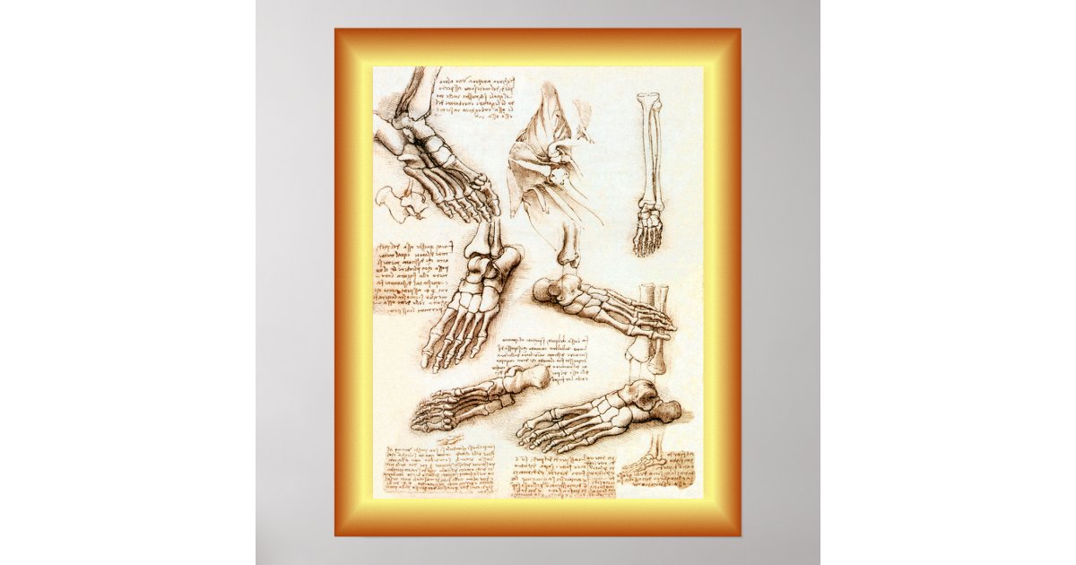 Leonardo da Vinci ~ Foot Anatomy ~ Poster | Zazzle