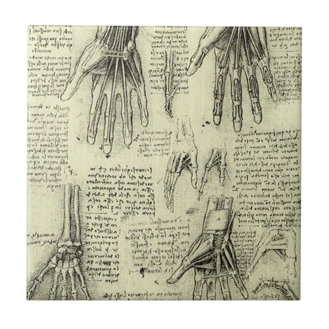Leonardo da Vinci's Anatomy of the Human Hand Ceramic Tile | Zazzle