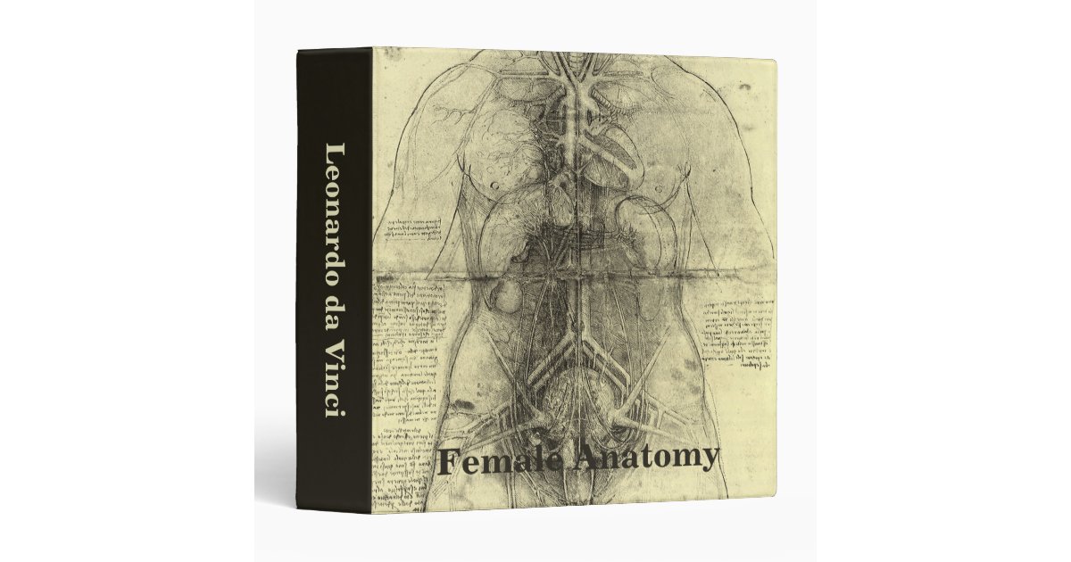 Leonardo da Vinci's Human Anatomy, Female Torso 3 Ring Binder | Zazzle