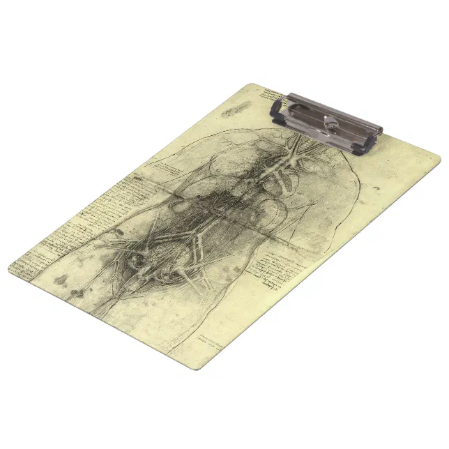 Leonardo da Vinci's Human Anatomy, Female Torso Clipboard | Zazzle