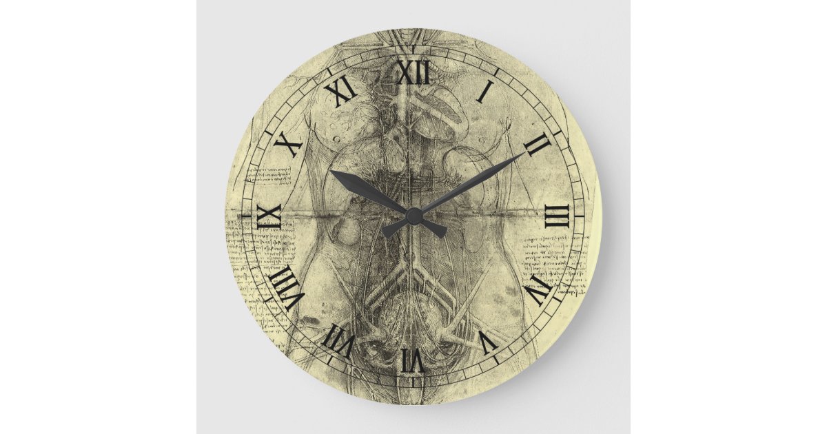 Leonardo da Vinci's Human Anatomy, Female Torso Large Clock | Zazzle