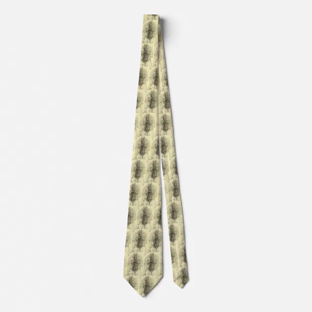 Leonardo da Vinci's Human Anatomy, Female Torso Tie | Zazzle