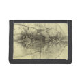 Leonardo da Vinci's Human Anatomy, Female Torso Tri-fold Wallet | Zazzle
