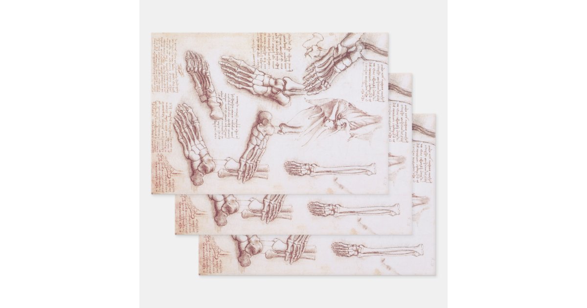 Leonardo da Vinci's Human Anatomy Foot Bones Wrapping Paper Sheets | Zazzle