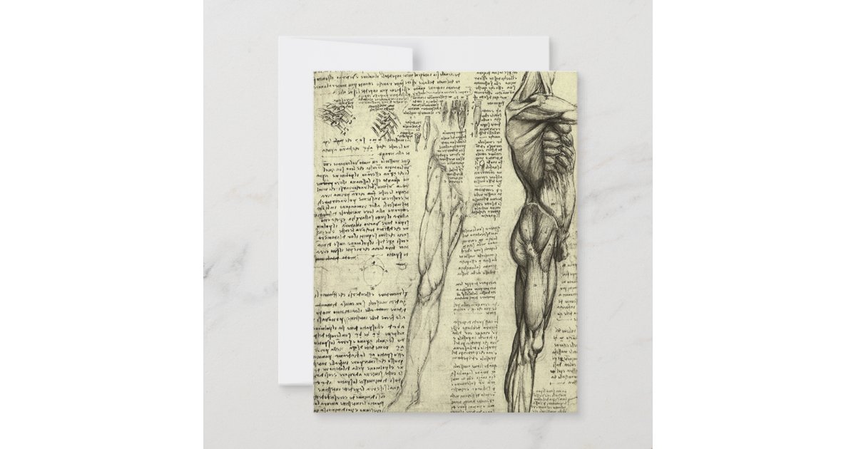 Leonardo da Vinci's Human Anatomy Male Muscles | Zazzle