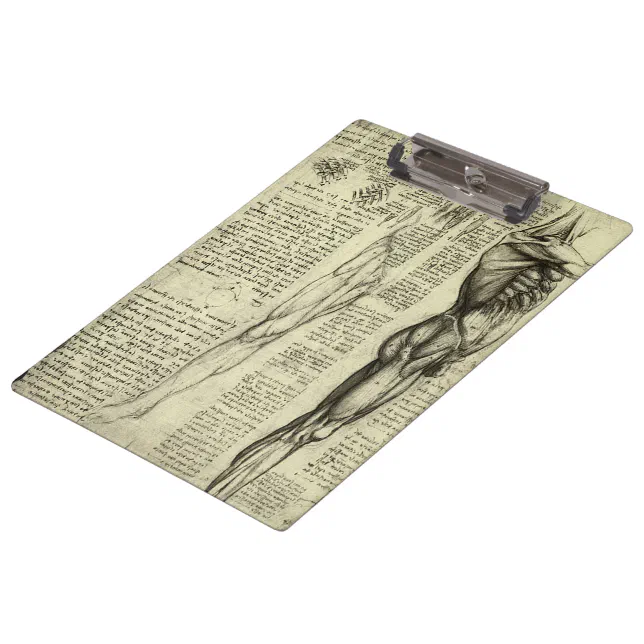 Leonardo da Vinci's Human Anatomy Male Muscles Clipboard | Zazzle