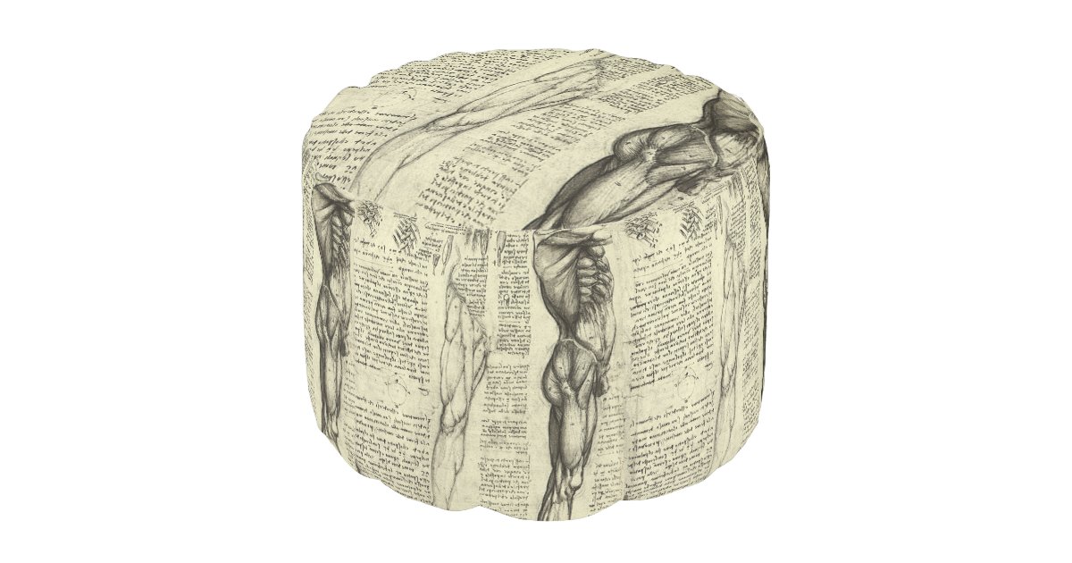 Leonardo da Vinci's Human Anatomy Male Muscles Pouf | Zazzle