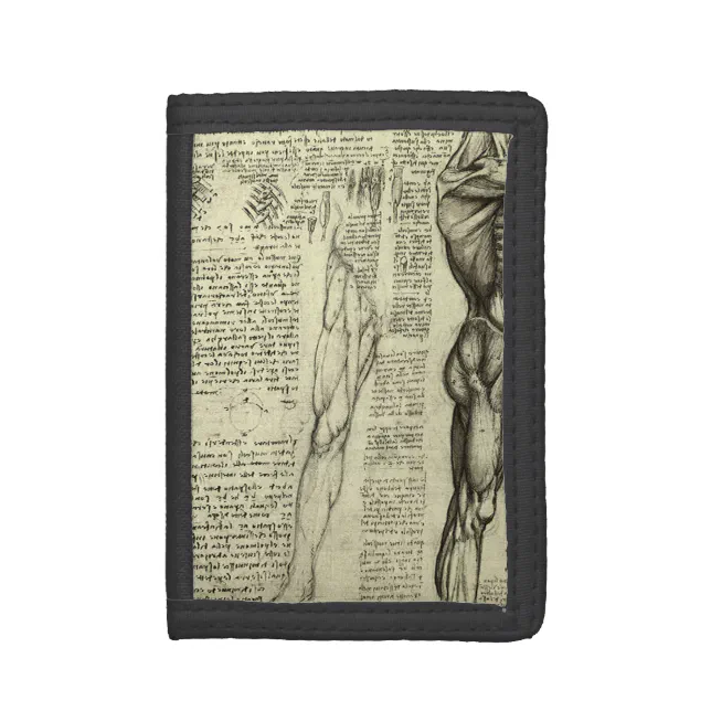 Leonardo da Vinci's Human Anatomy Male Muscles Trifold Wallet | Zazzle