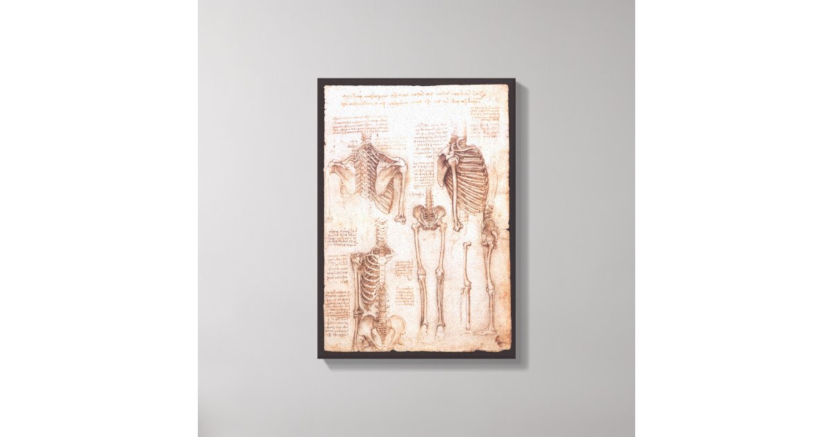 Leonardo da Vinci's Human Anatomy Skeleton Bones Canvas Print | Zazzle