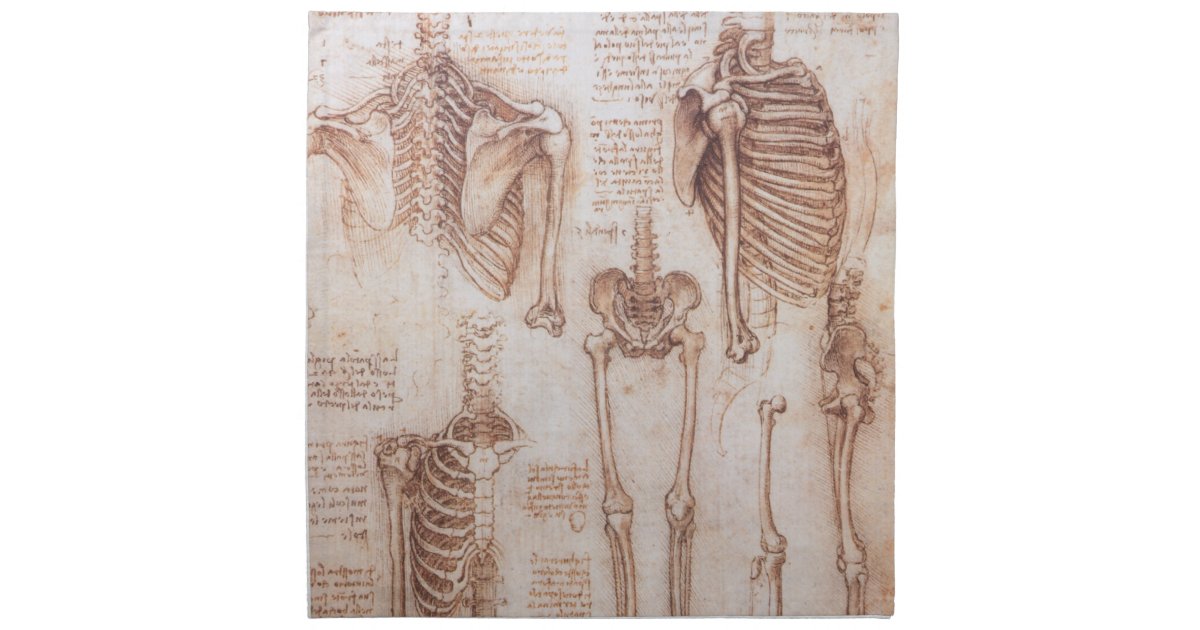 Leonardo da Vinci's Human Anatomy Skeleton Bones Cloth Napkin | Zazzle