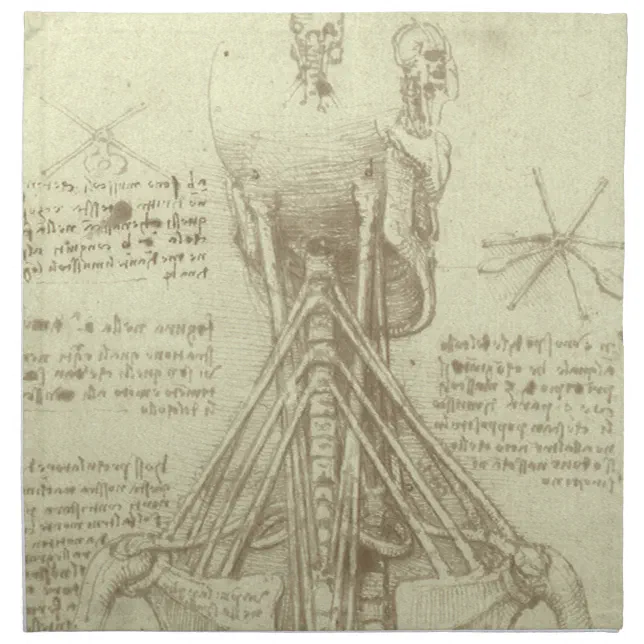 Leonardo da Vinci's Human Anatomy Spinal Column Napkin | Zazzle