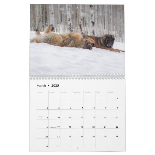 Leonberger Best Friends Calendar | Zazzle