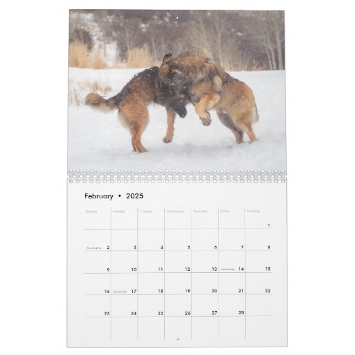 Leonberger Best Friends Calendar | Zazzle