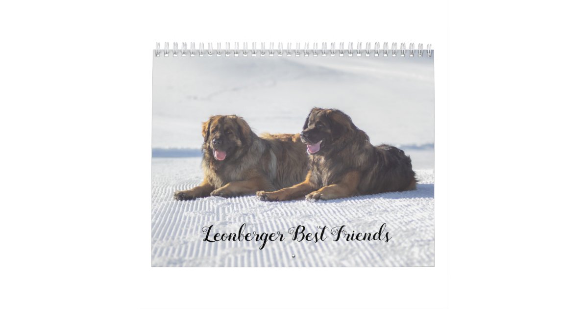 Leonberger Best Friends Calendar | Zazzle