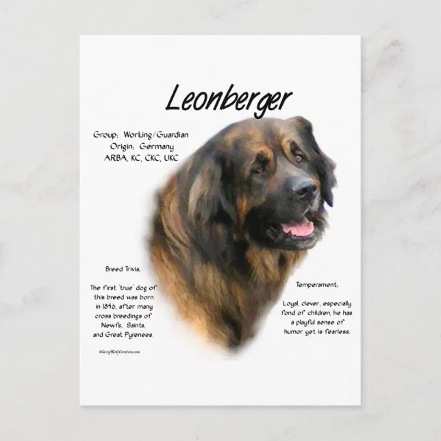Leonberger History Design Postcard | Zazzle