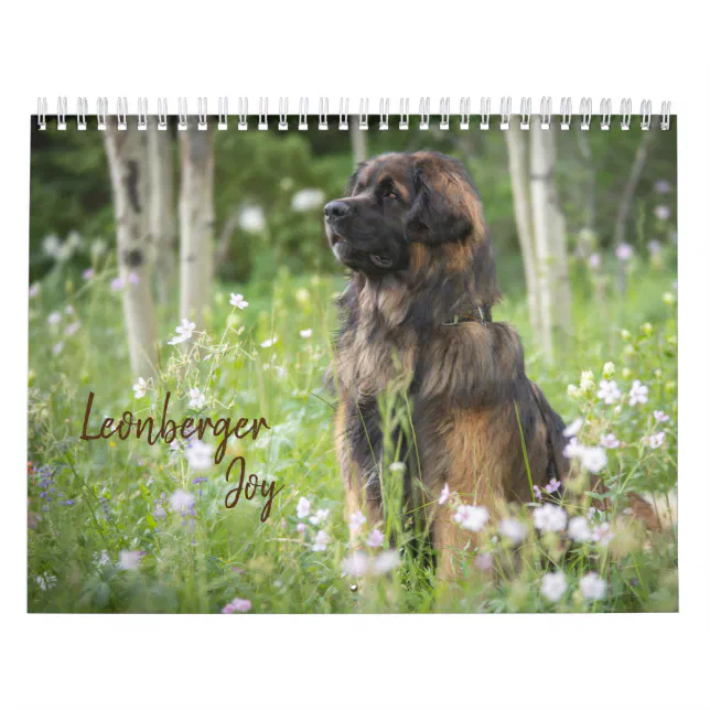 Leonberger Joy Calendar | Zazzle
