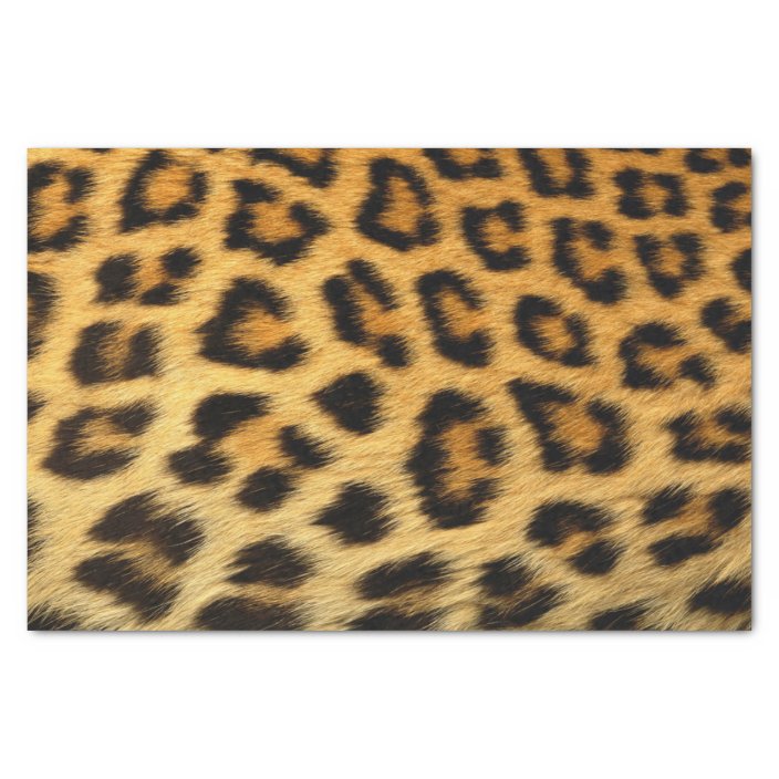 Leopard Animal Print Pattern Tissue Paper | Zazzle.com