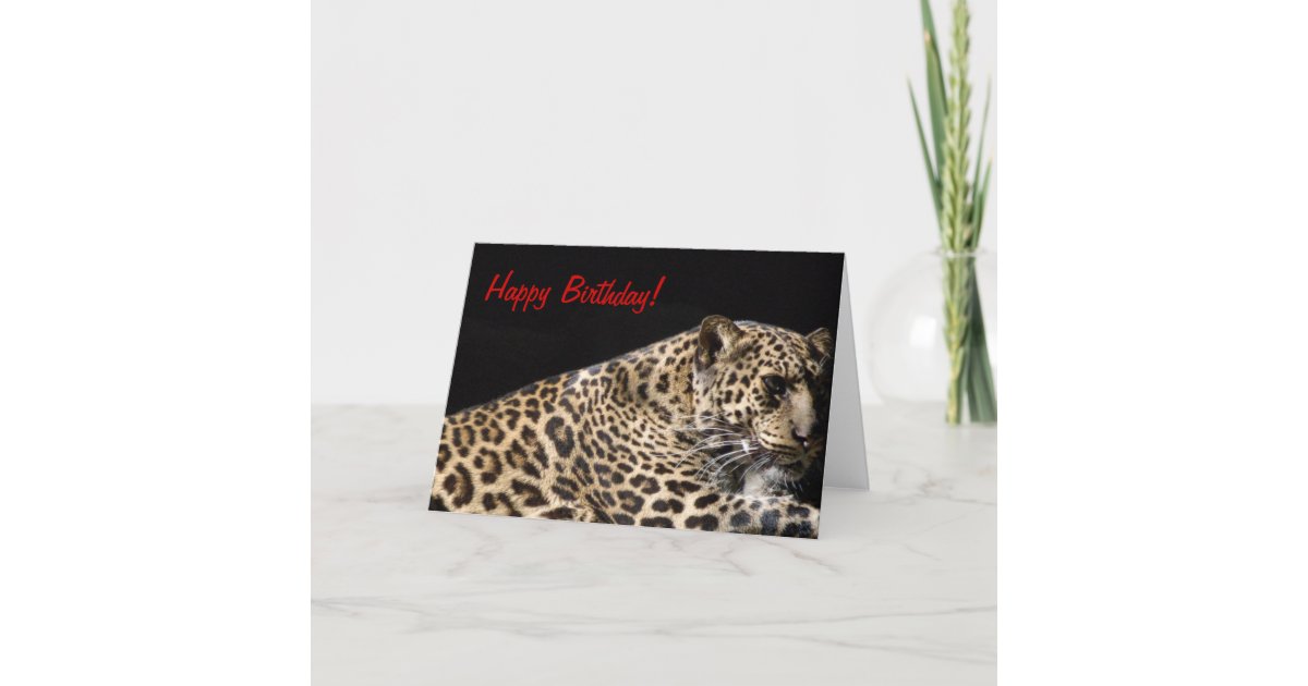 Leopard Birthday Card | Zazzle